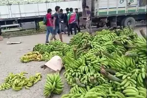 TONELADAS DE BANANO TERMINAN EN LA CARRETERA: PRODUCTORES DEL TRÓPICO ...